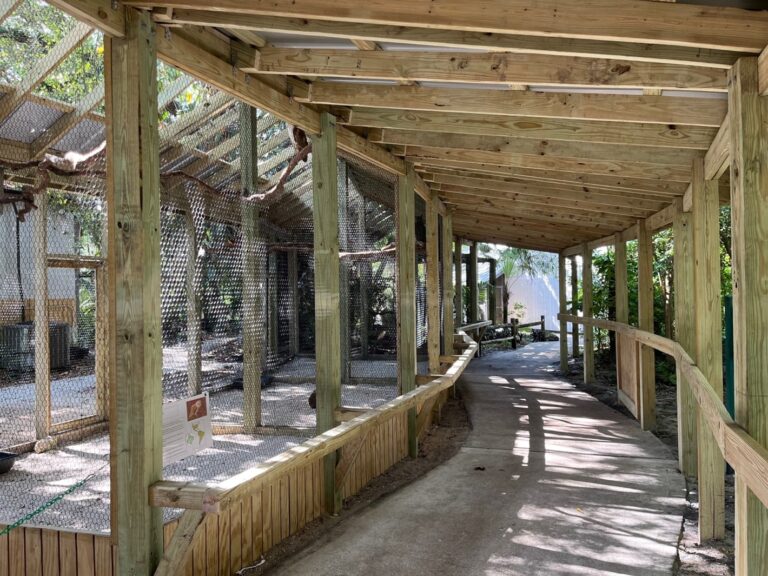 New Owl Alley Aviaries Open - Flamingo Gardens